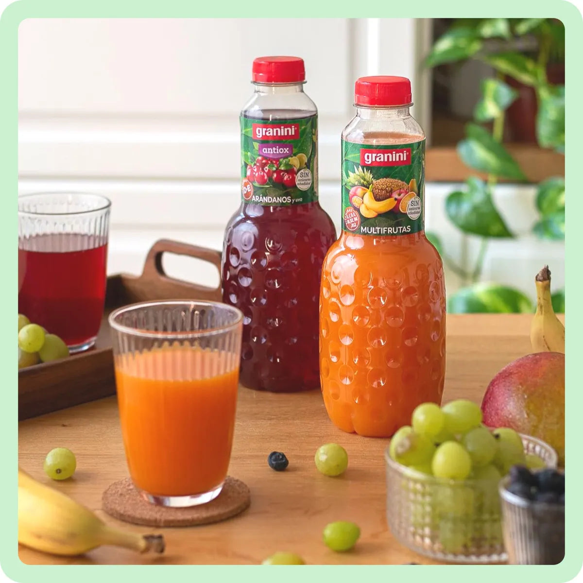 Comprar Clásicos-granini Shop Online